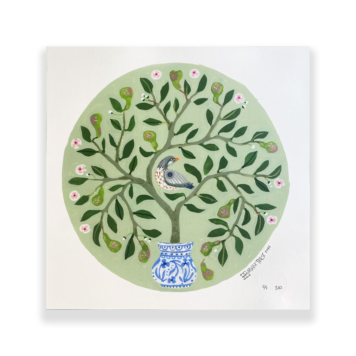 A Partridge in a Pear Tree – Adam Trest Studio